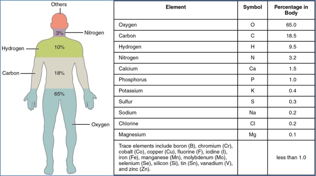 5 Levels of Organization | Cell Biology | MedStudentNotes