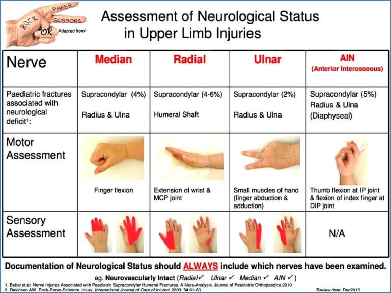 Upper Limb Innervation | Musculoskeletal | MedStudentNotes