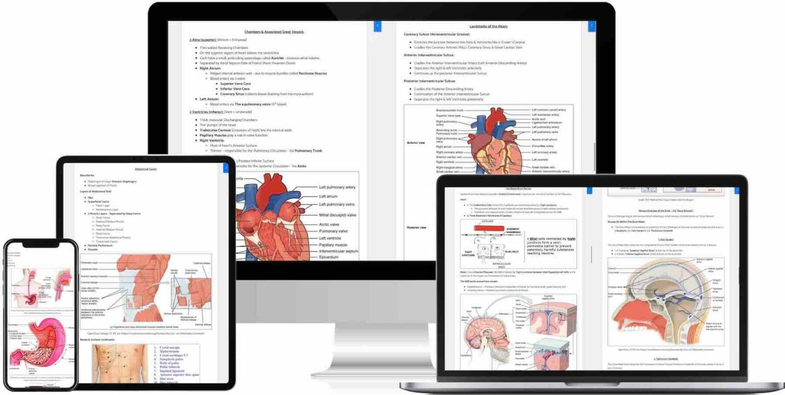Medical Study Notes | High-Yield & Free | MedStudentNotes